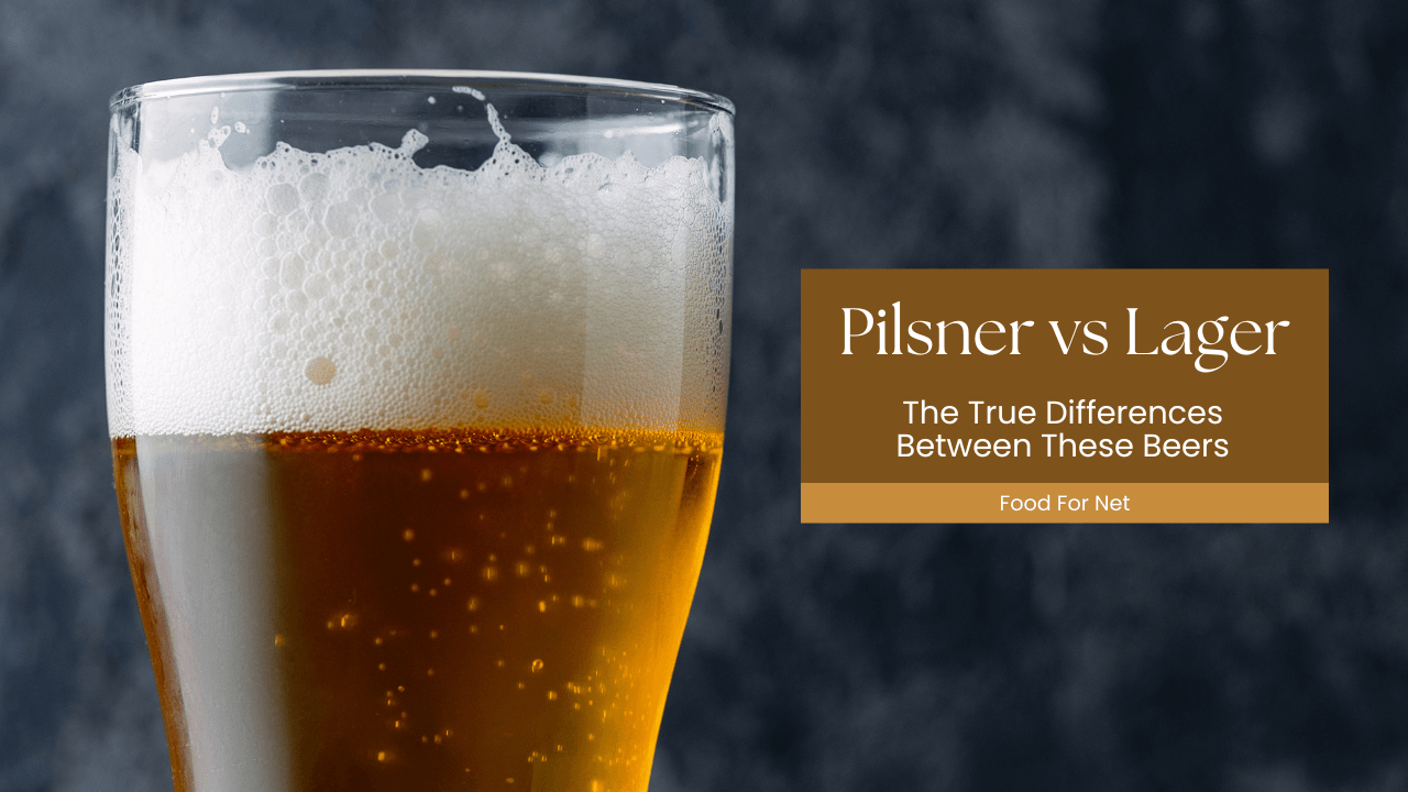Pilsner Vs Lager: Which One Is Right For You? | Food For Net