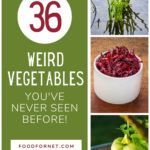 36 Weird Vegetables You've Never Seen Before! | Food For Net