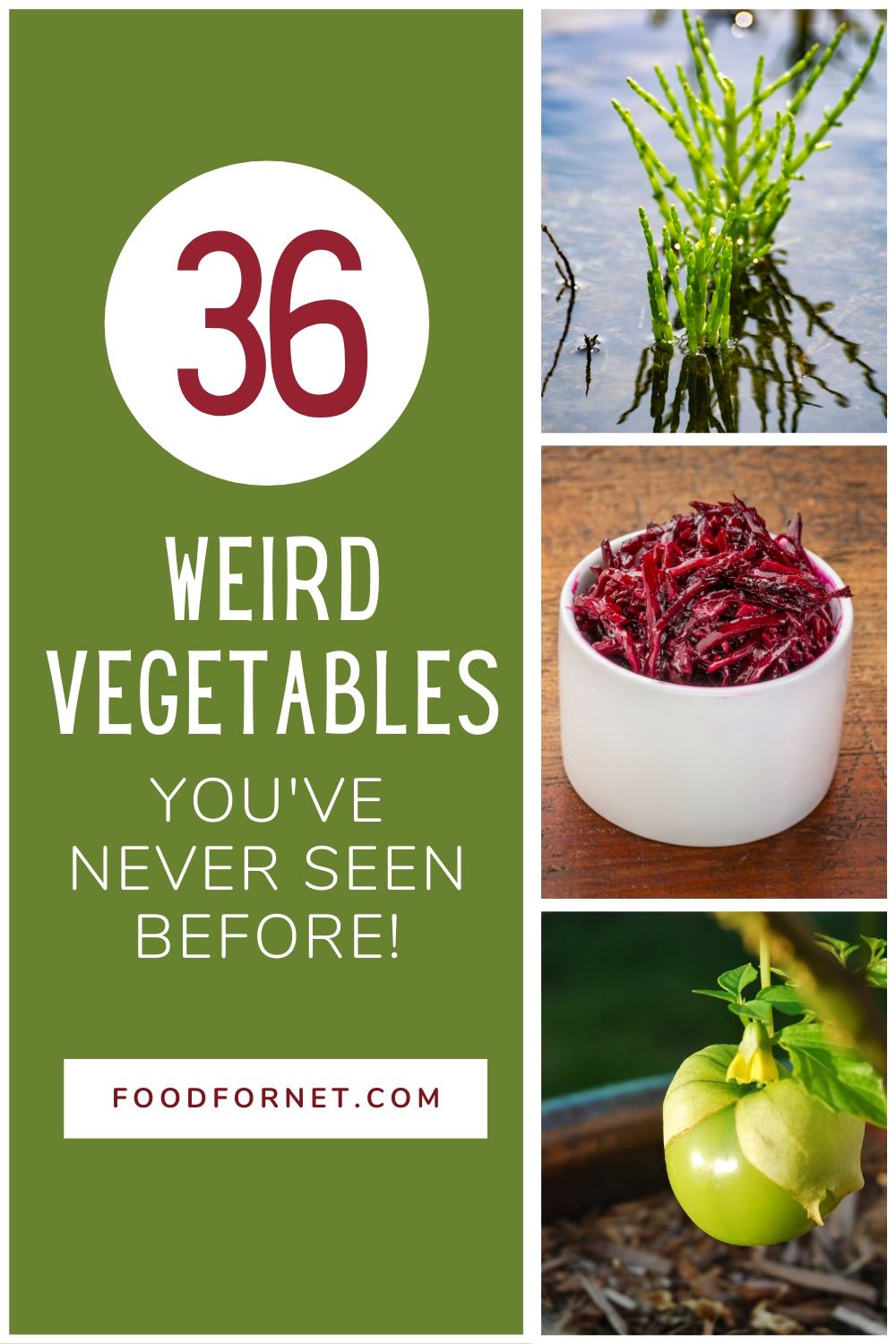 36 Weird Vegetables You've Never Seen Before! | Food For Net
