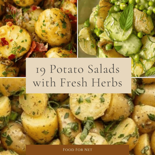 How to Propagate Sage from Cuttings: A Beginner’s Guide | Food For Net