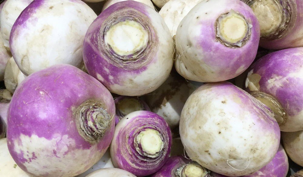 26 Stunning Purple Vegetables To Make Your Plate Come Alive | Food For Net