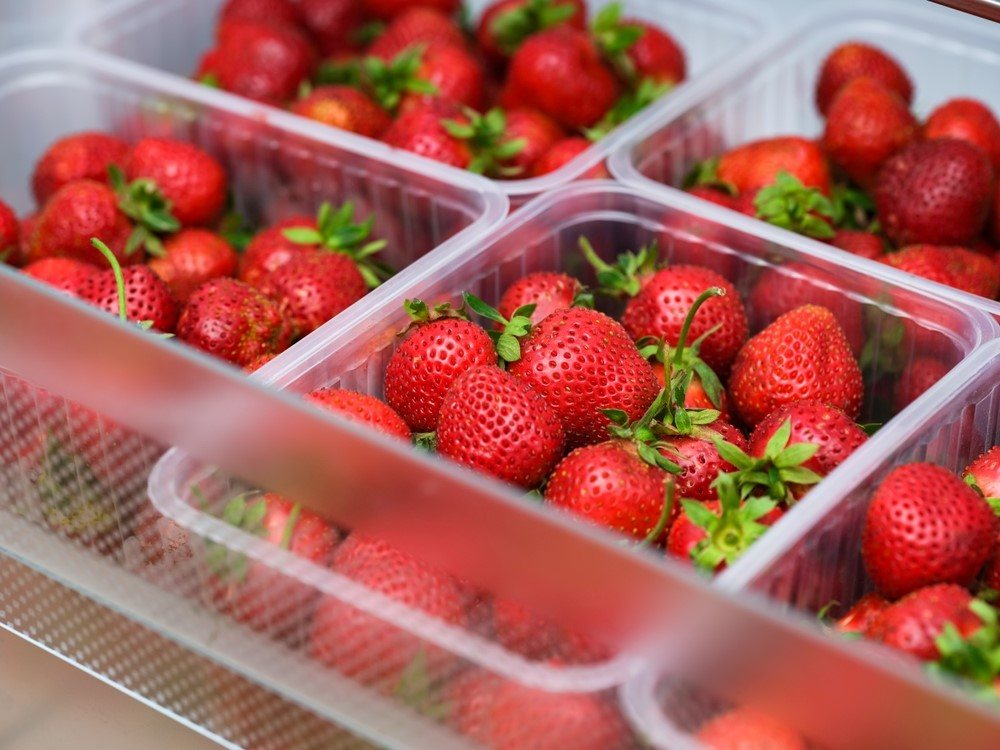 How To Freeze Fresh Strawberries | Food For Net