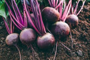 26 Stunning Purple Vegetables To Make Your Plate Come Alive | Food For Net