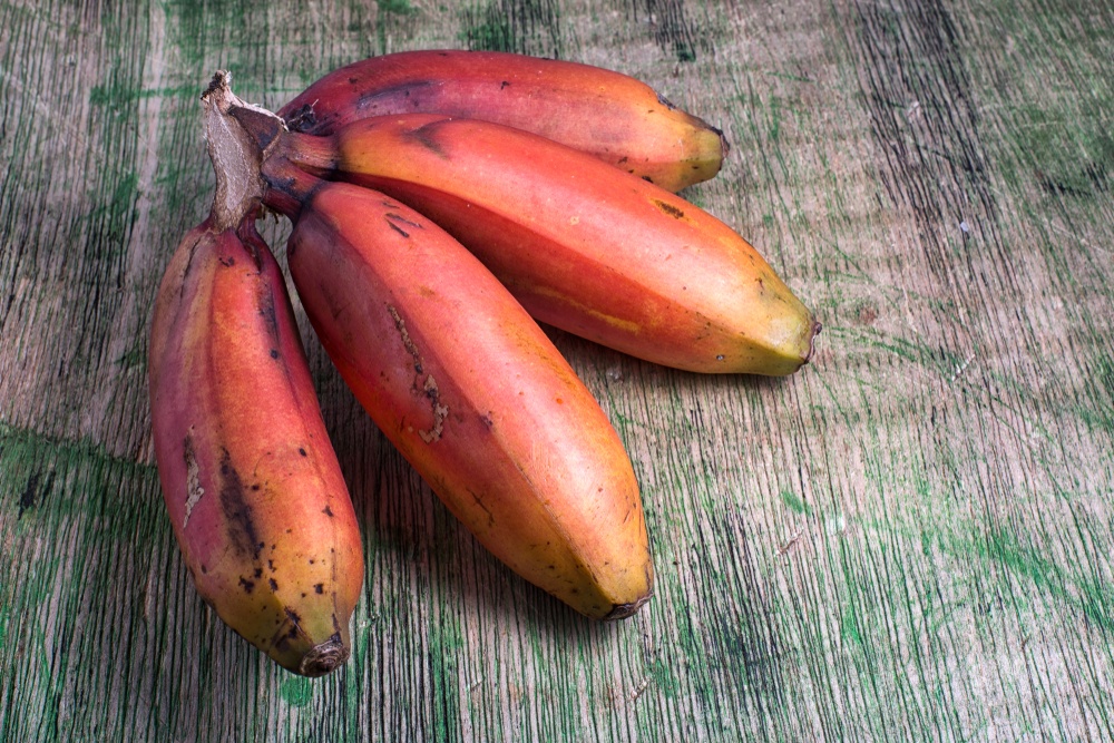 30 Weird Colored Fruits, Vegetables and Spices | Food For Net