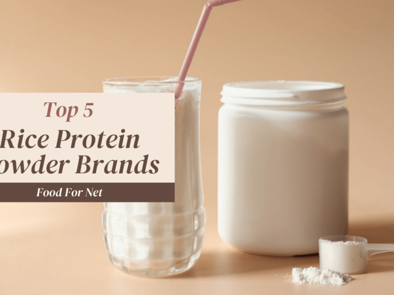 5 Best Protein Powder Brands With Probiotics | Food For Net