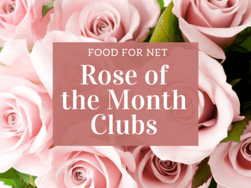 6 Nut of the Month Clubs | Food For Net