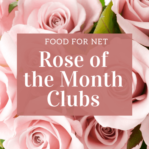 8 Beautiful Orchid of the Month Clubs | Food For Net