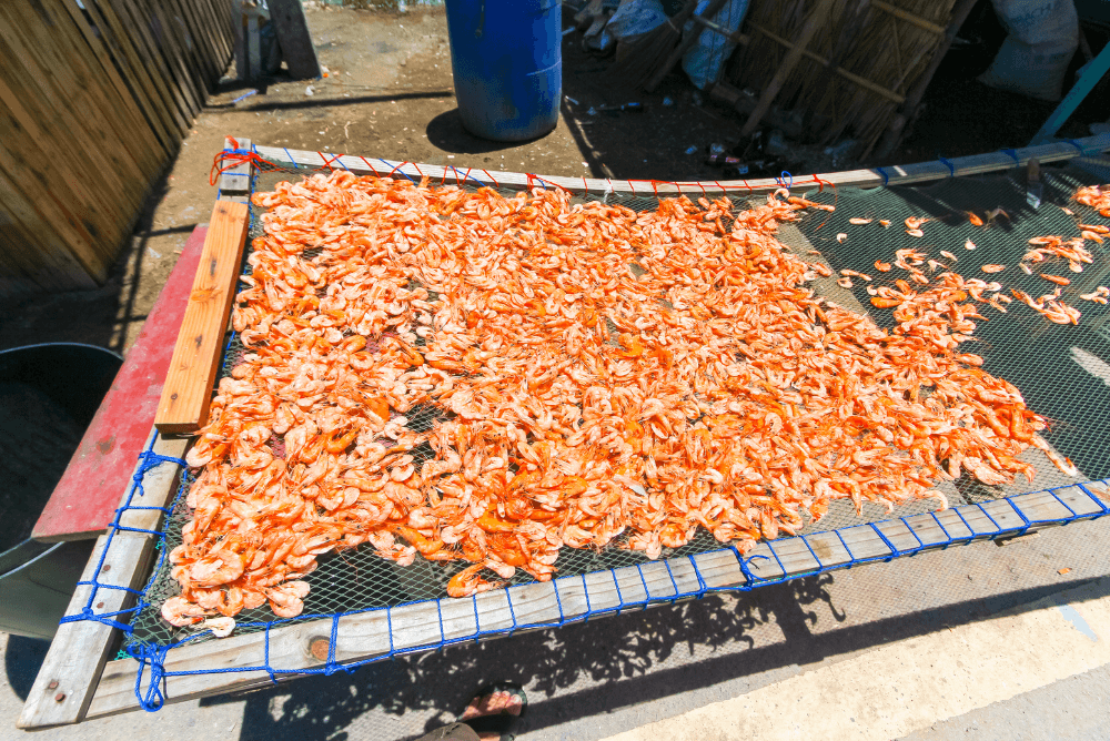 How To Use Dried Shrimp | Food For Net