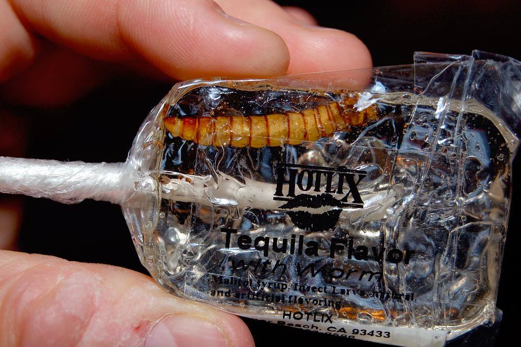 37 Exotic Candies That Stretch The Imagination | Food For Net