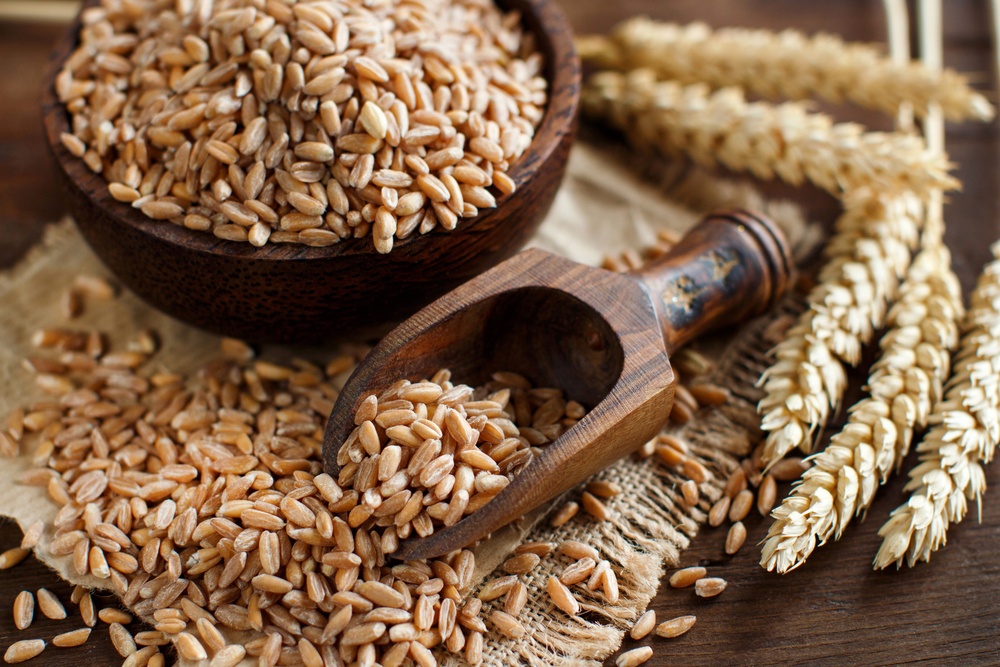 17 Ancient Grains You Can Add To Your Diet Today | Food For Net