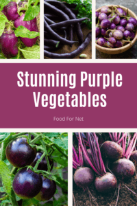 26 Stunning Purple Vegetables To Make Your Plate Come Alive | Food For Net