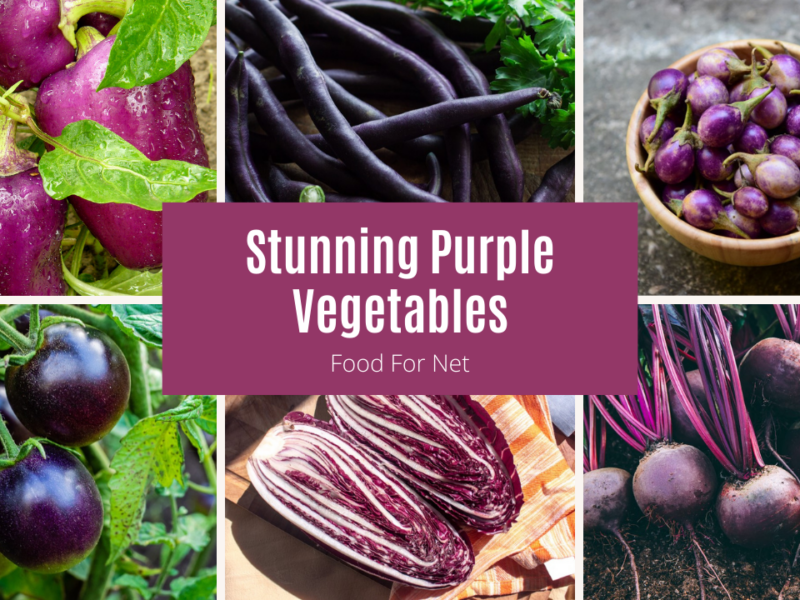 37 Exotic Candies That Stretch The Imagination | Food For Net