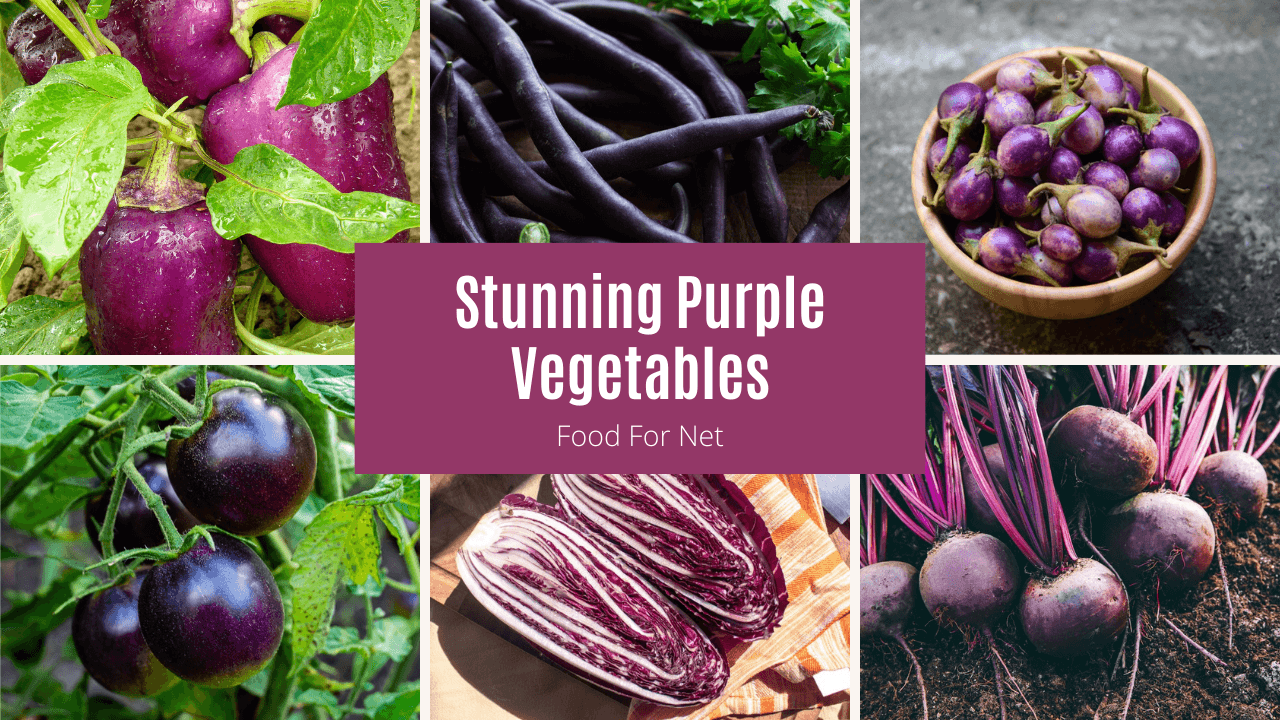 26 Stunning Purple Vegetables To Make Your Plate Come Alive | Food For Net