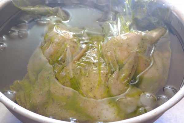 Sous Vide Garlic Cilantro Chicken | Food For Net