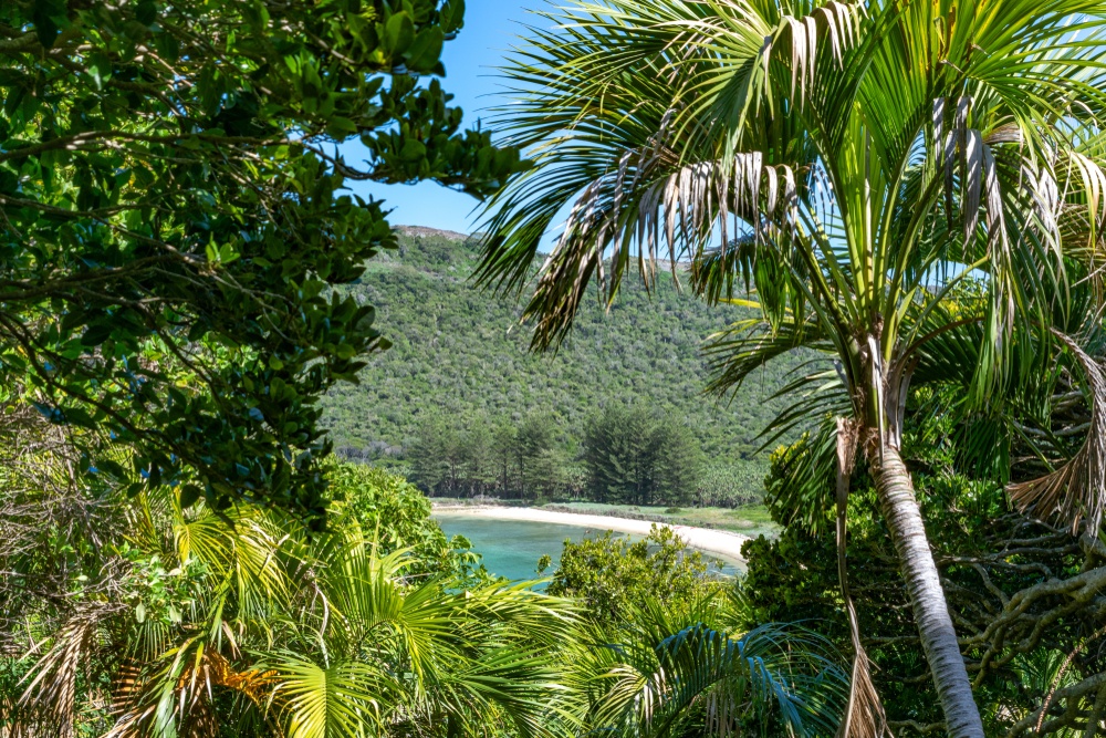 29 Exotic Nuts That You Need To See To Believe | Food For Net