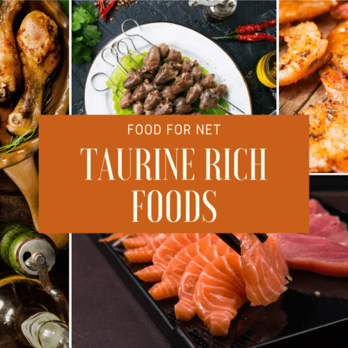 20 Tyramine Rich Foods You May Need To Be Careful With | Food For Net