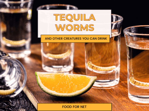 The Best Vodka to Drink Straight | Food For Net