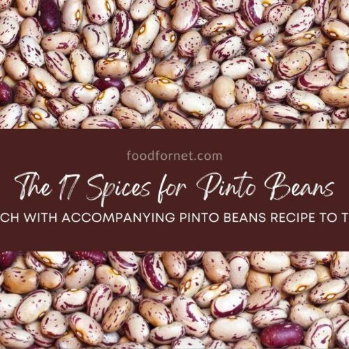 16 Types of Beans – the Most Common and the Most Popular | Food For Net