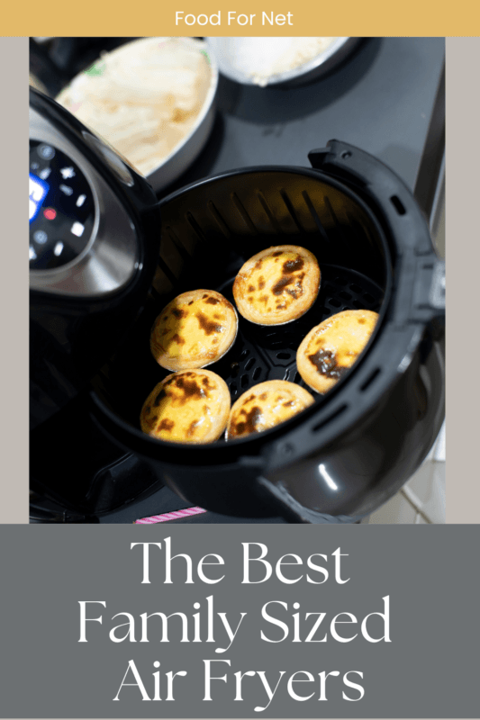 The Best Family Sized Air Fryers | Food For Net