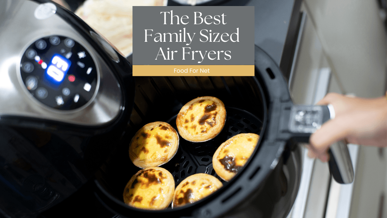 The Best Family Sized Air Fryers | Food For Net