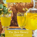 The Best Raspberry Liqueur | Food For Net