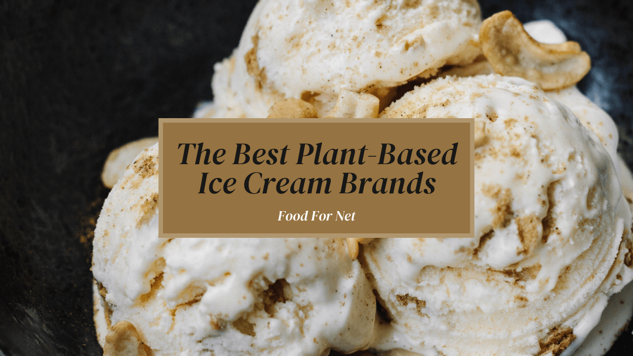 5 Best Plant-Based Ice Cream Brands | Food For Net