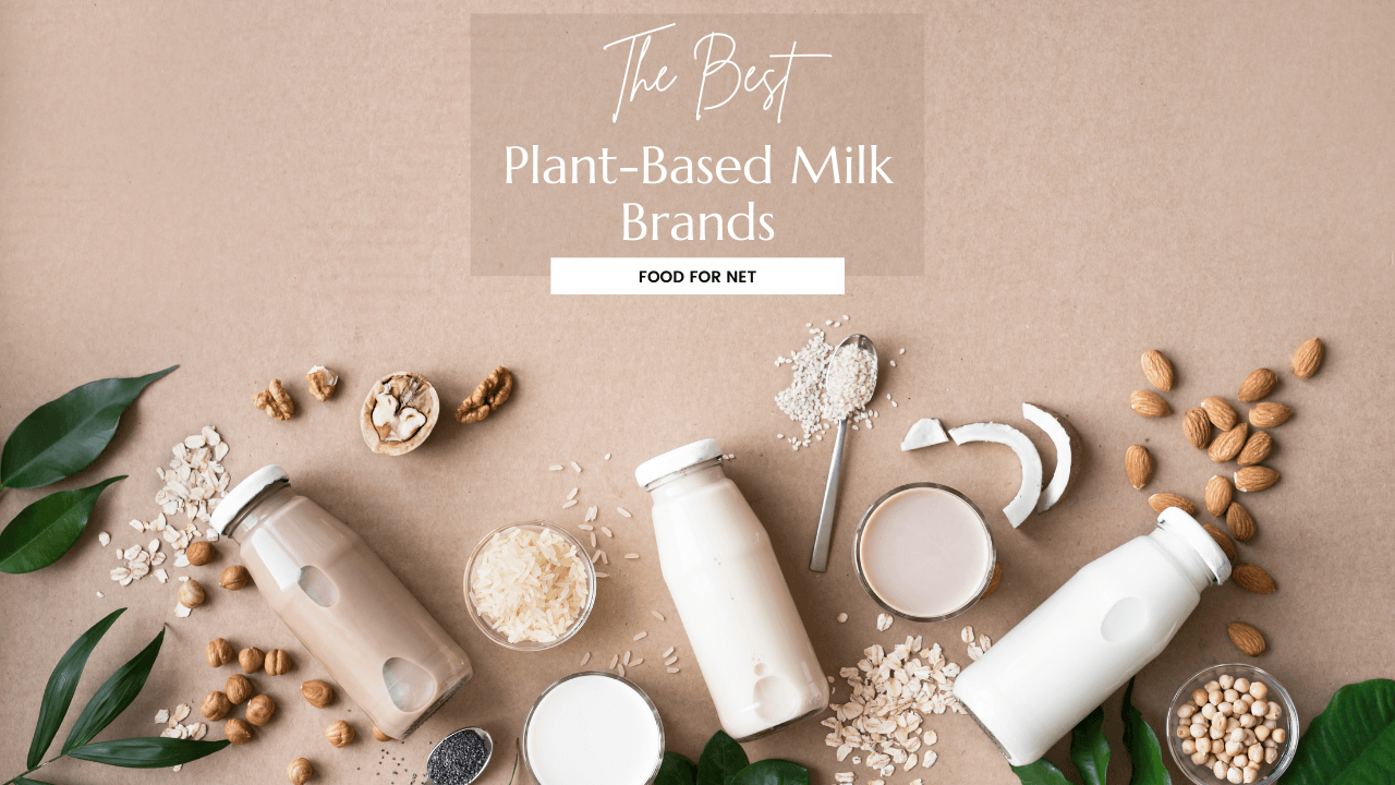 5 Best Plant-Based Milk Brands | Food For Net