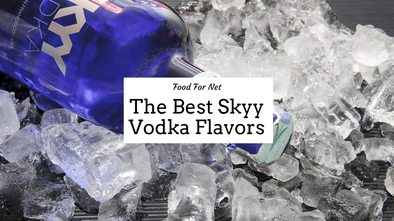 The Best Skyy Vodka Flavors | Food For Net
