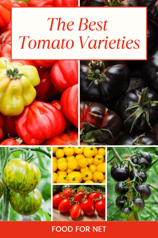 The Best Tomato Varieties For Your Home Garden | Food For Net
