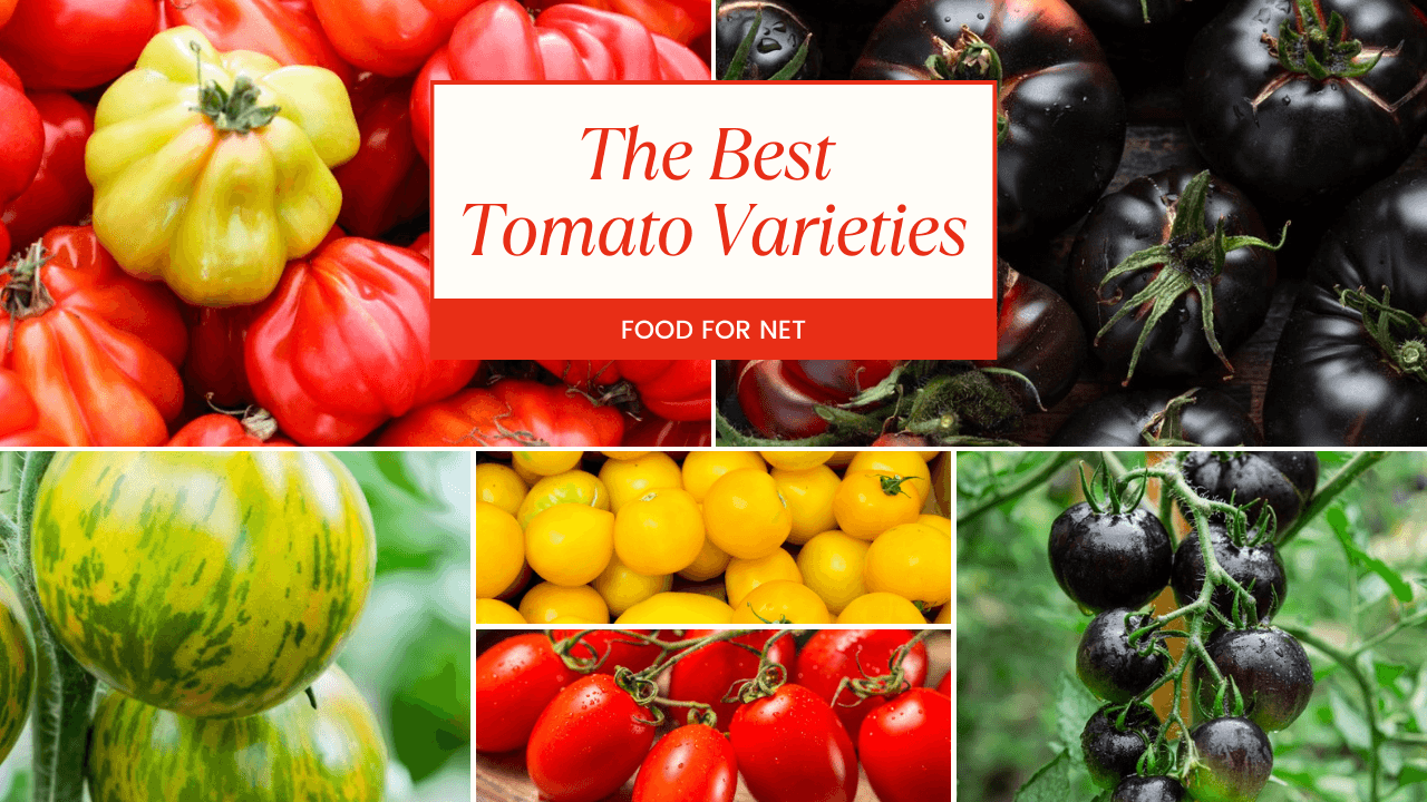 The Best Tomato Varieties For Your Home Garden | Food For Net