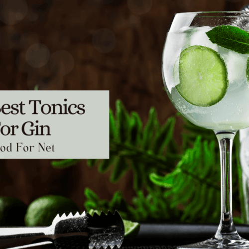 Top 19 Gin Mixers For Fast, Easy And Delicious Drinks | Food For Net