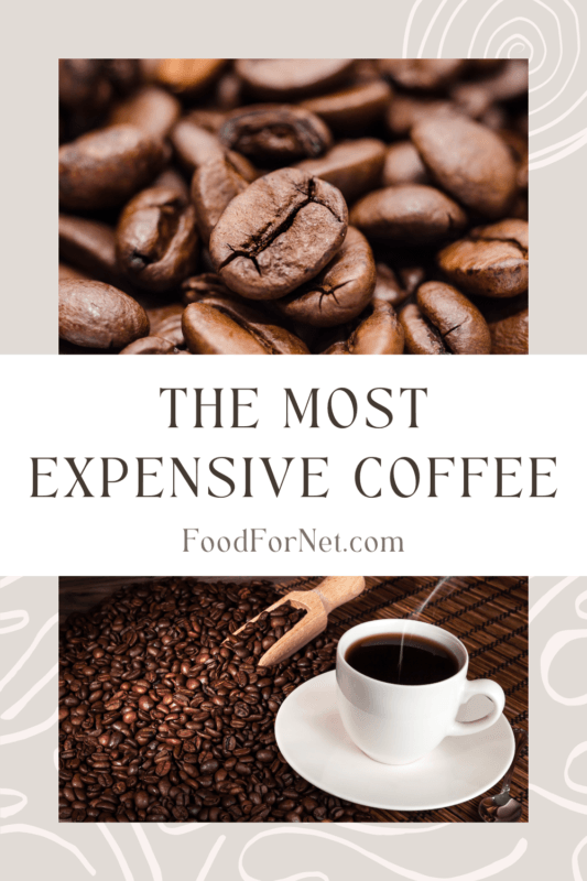 The Most Expensive Coffee You Can Find Anywhere | Food For Net