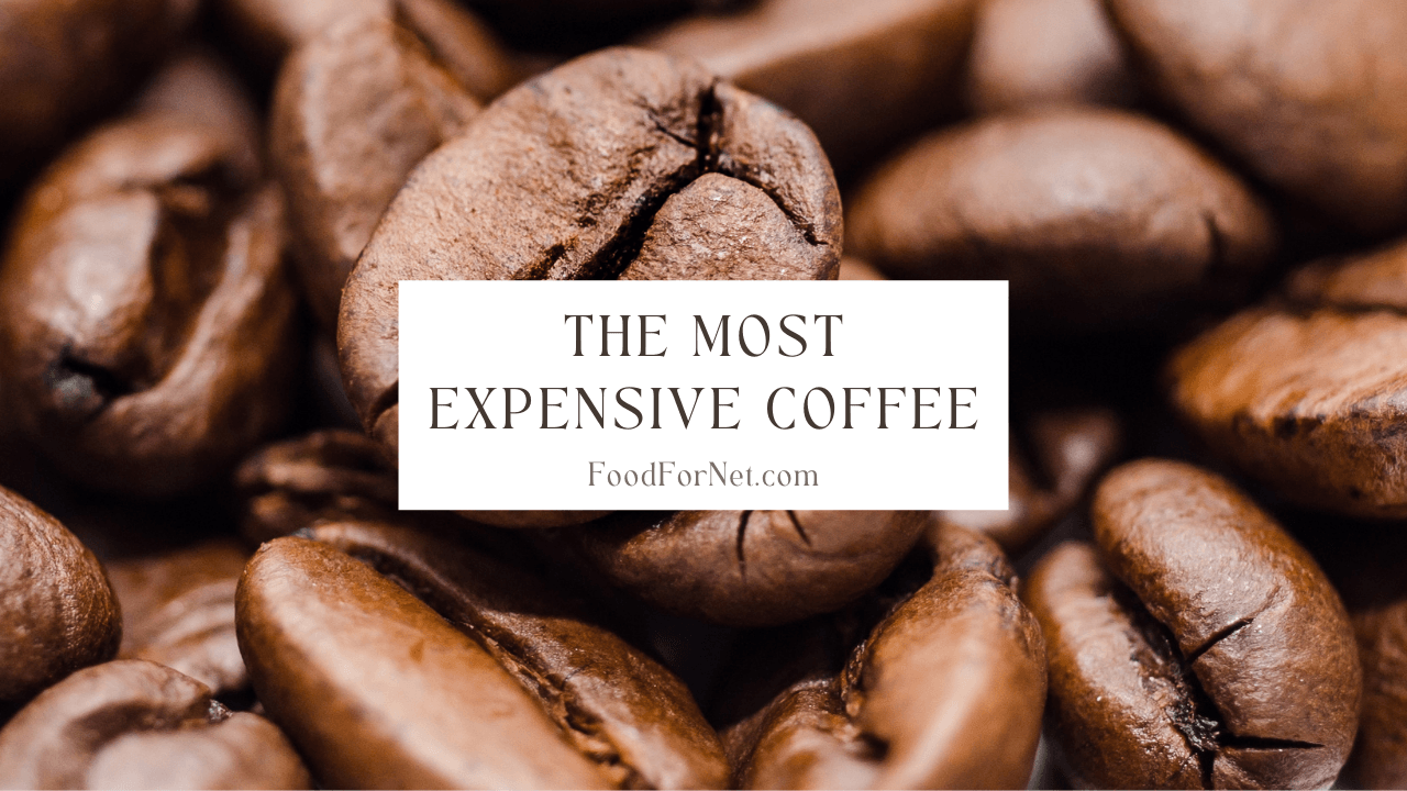 The Most Expensive Coffee You Can Find Anywhere | Food For Net