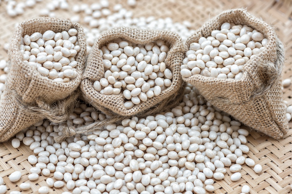24 Calcium Rich Foods That Aren’t All Dairy | Food For Net