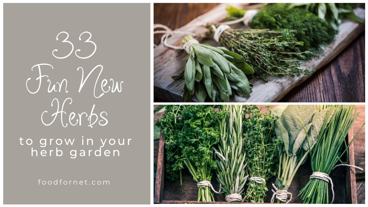 36 Weird Vegetables You've Never Seen Before! | Food For Net