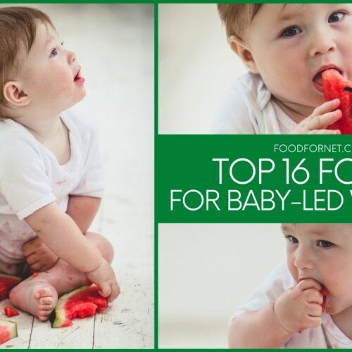 21 Low Potassium Foods That Will Keep Your Potassium Levels in Check ...