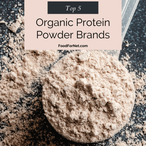 5 Best Protein Powder Brands With Real Sugar | Food For Net