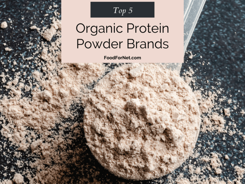 5 Best Plant-Based Meatballs Brands | Food For Net