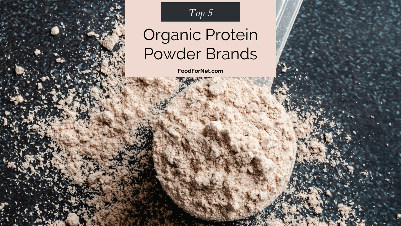 5 Best Organic Protein Powder Brands | Food For Net