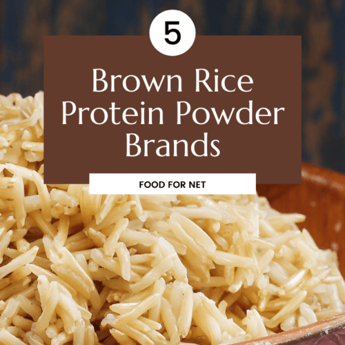 5 Best Cricket Protein Powder Brands | Food For Net