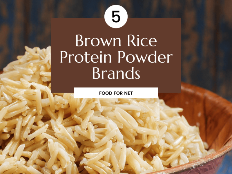 5 Best Zero Carb Protein Powder Brands | Food For Net