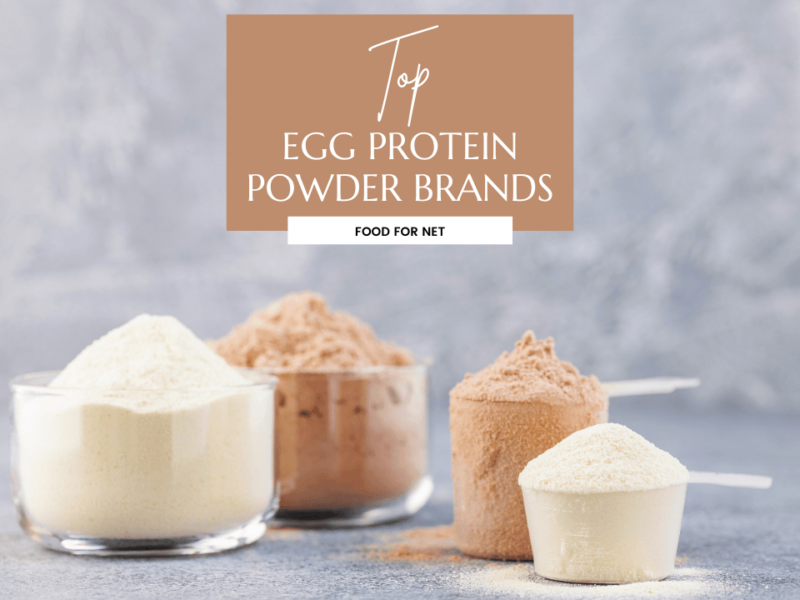 5 Best Protein Powder Brands With Real Sugar | Food For Net