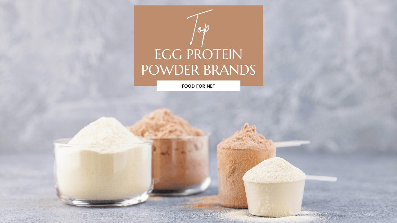 5 Best Egg Protein Powder Brands | Food For Net
