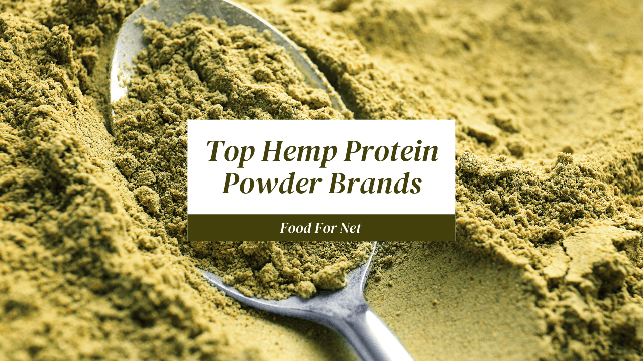 5 Best Hemp Protein Powder Brands | Food For Net