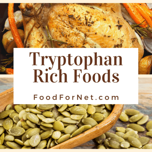 20 Tyramine Rich Foods You May Need To Be Careful With | Food For Net