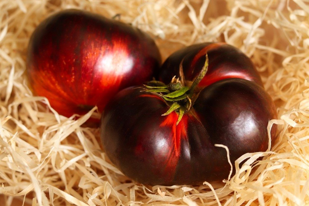 The Best Tomato Varieties For Your Home Garden | Food For Net