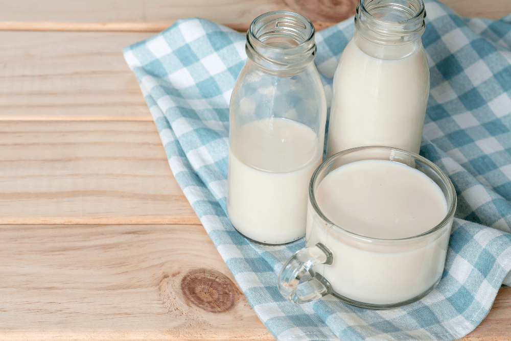 24 Types Of Milk Including Dairy And Plant-Based Options | Food For Net