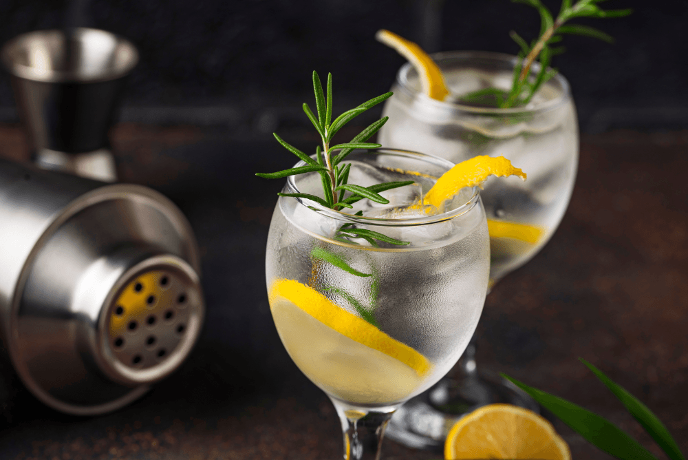 9 Types Of Gin Plus Exciting Gin Variations | Food For Net