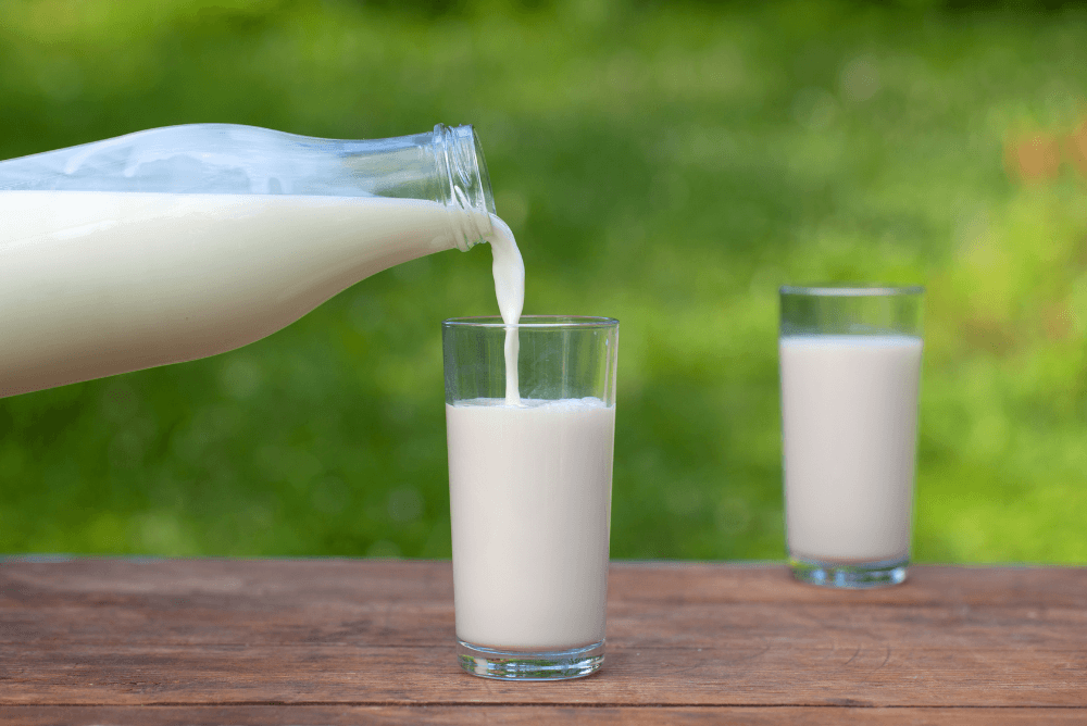 24 Types Of Milk Including Dairy And Plant-Based Options | Food For Net