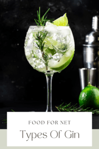 9 Types Of Gin Plus Exciting Gin Variations | Food For Net